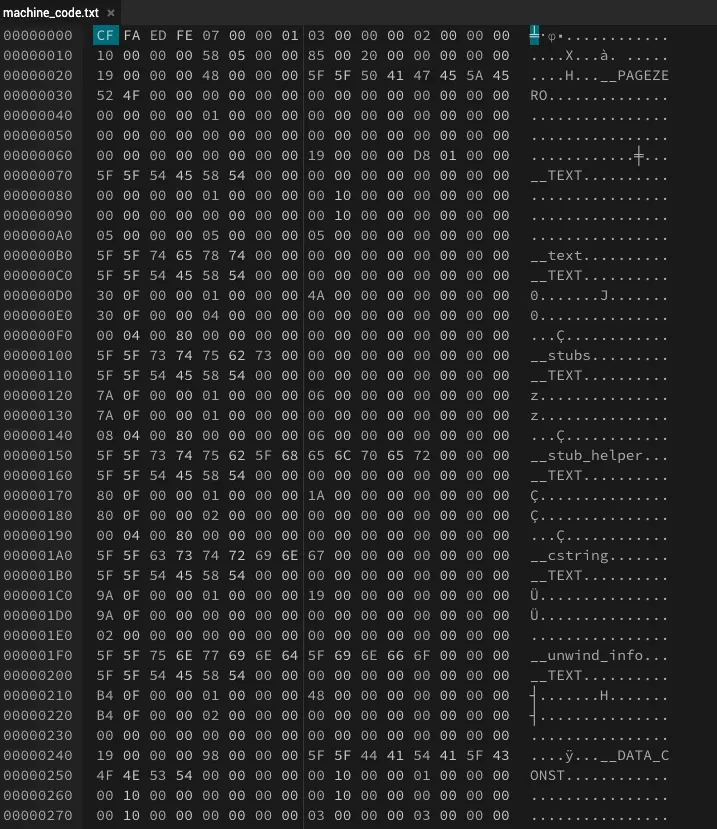 Machine Language Or Binary Language Code SillyCodes