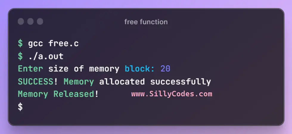 Dynamic Memory Allocation In C Programming Language